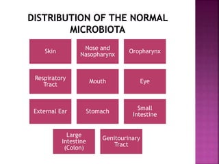 Normal microflora of human body | PPTX