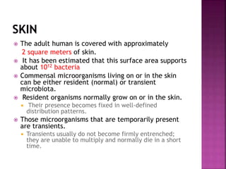 Normal microflora of human body | PPTX