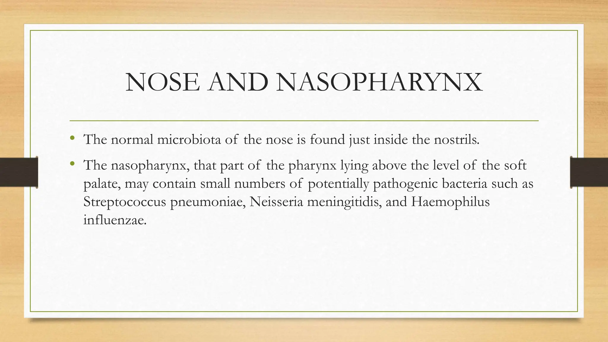 Normal Microflora of the Human Body- microbiology.pptx