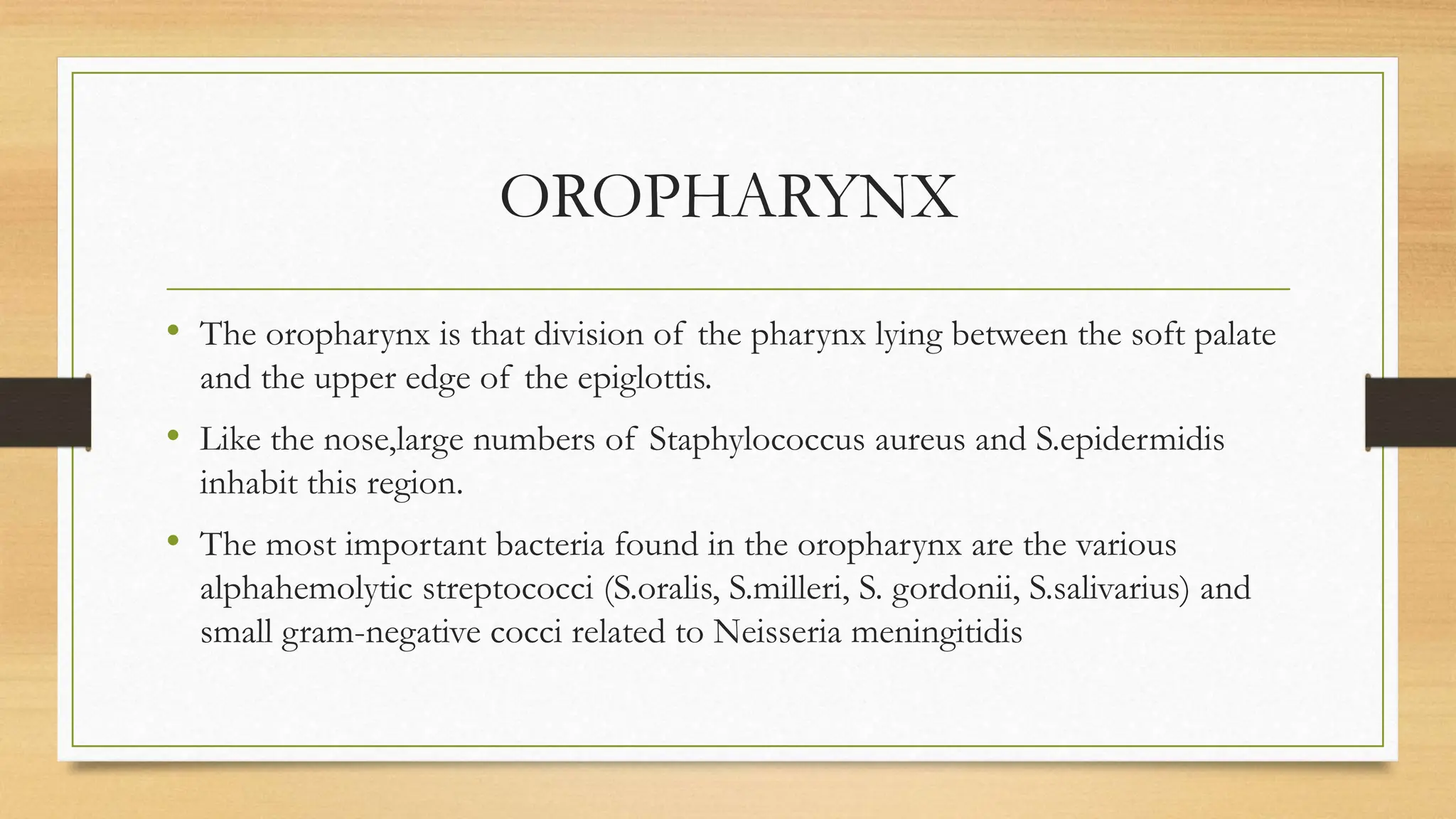Normal Microflora of the Human Body- microbiology.pptx