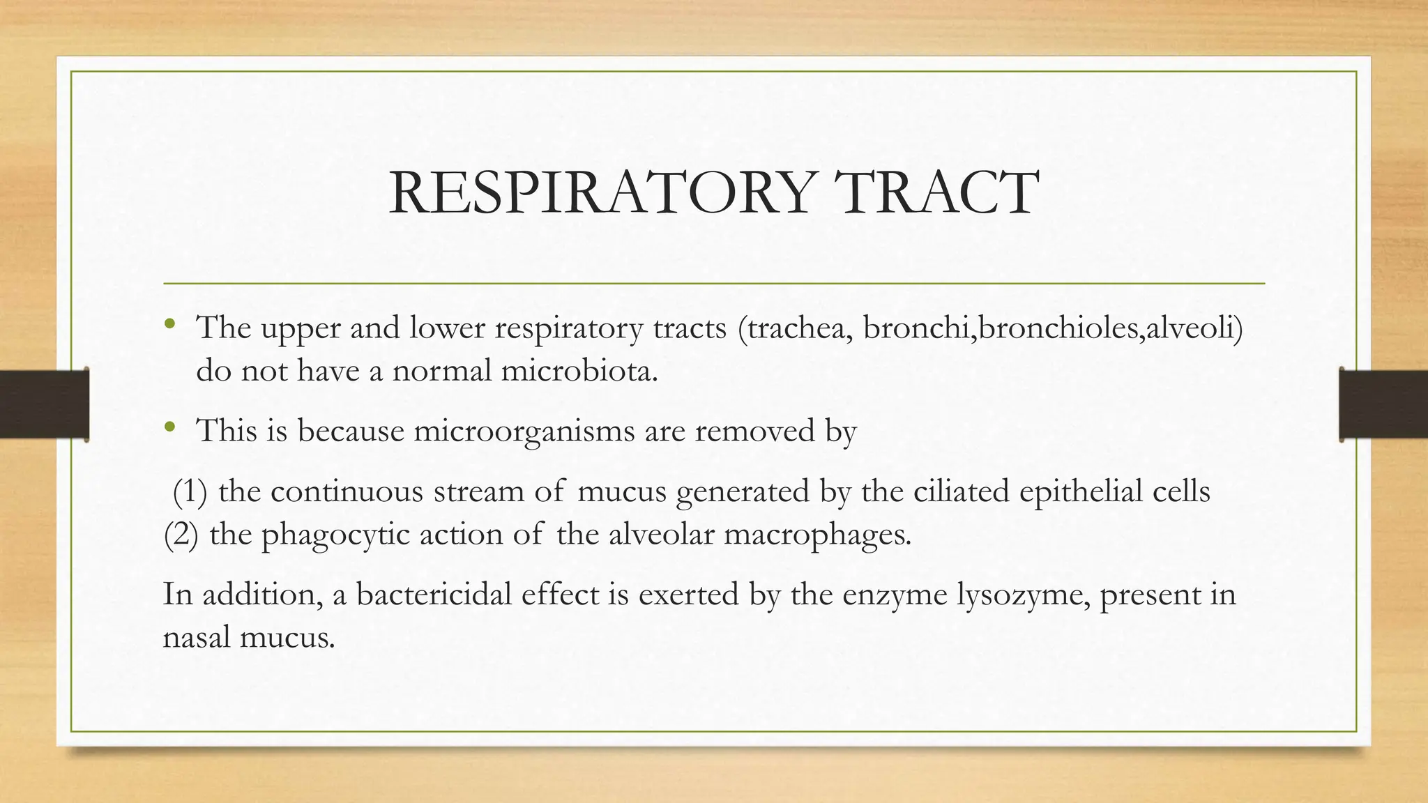 Normal Microflora of the Human Body- microbiology.pptx