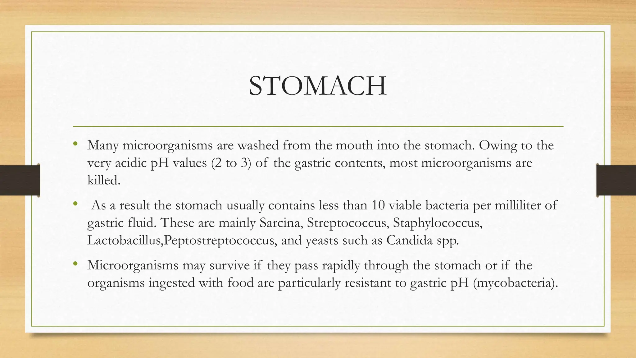 Normal Microflora of the Human Body- microbiology.pptx