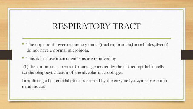 Normal Microflora of the Human Body- microbiology.pptx