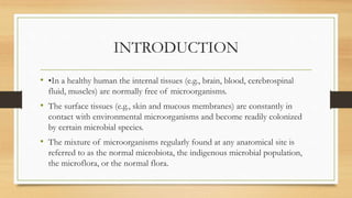 Normal Microflora of the Human Body- microbiology.pptx