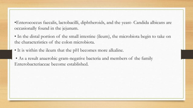 Normal Microflora of the Human Body- microbiology.pptx