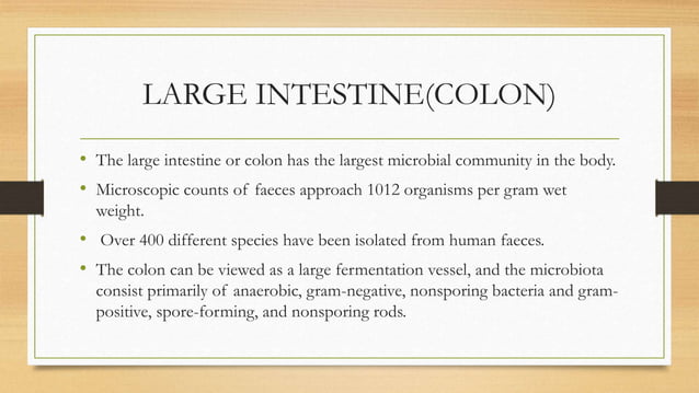 Normal Microflora of the Human Body- microbiology.pptx