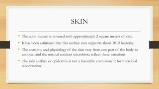 Normal Microflora of the Human Body- microbiology.pptx