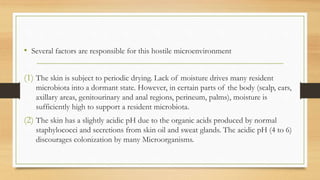 Normal Microflora of the Human Body- microbiology.pptx