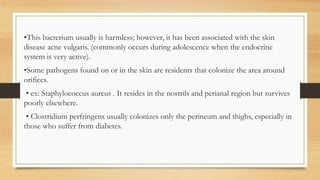 Normal Microflora of the Human Body- microbiology.pptx
