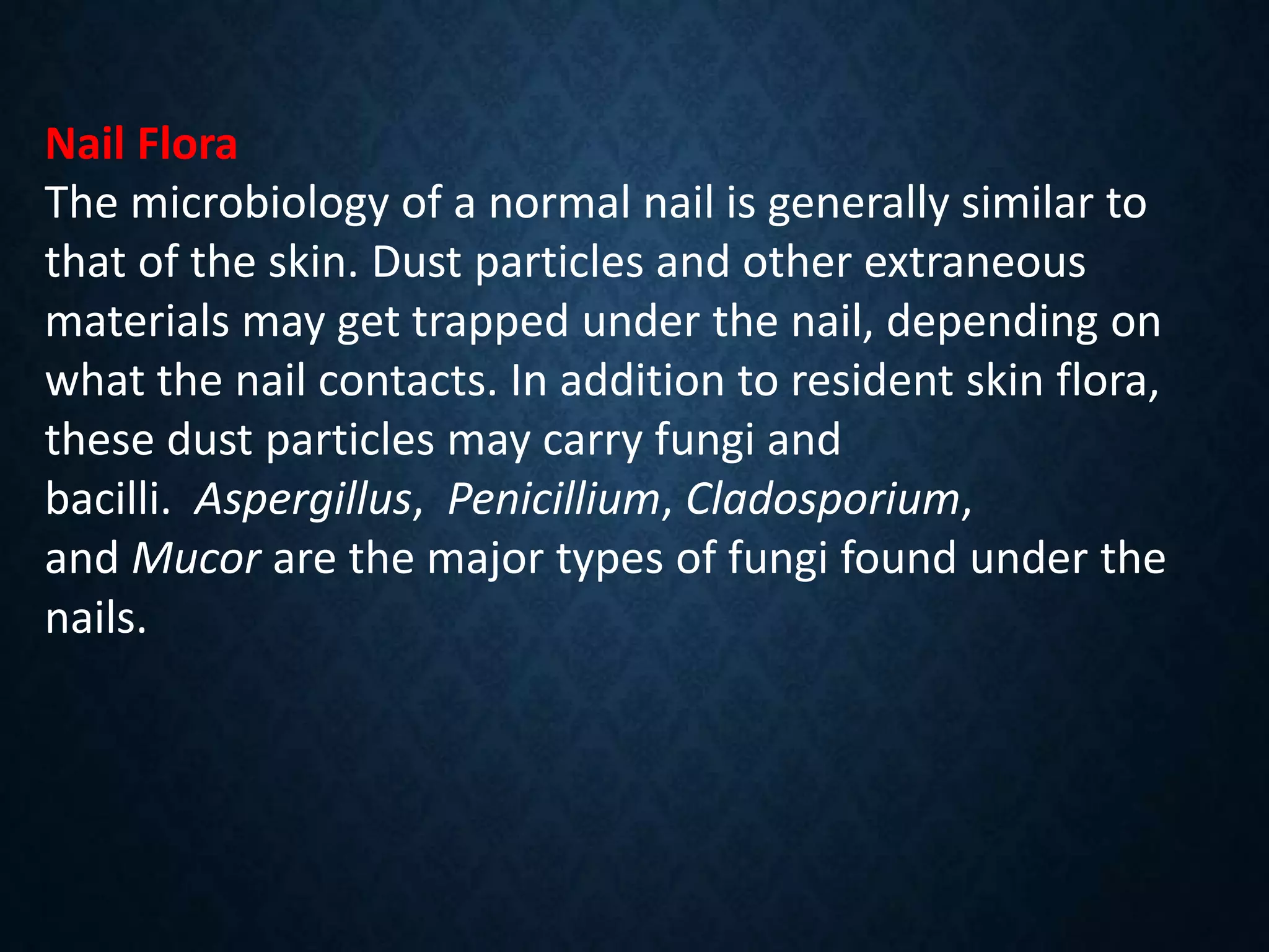 Normal microflora ppt | PPTX