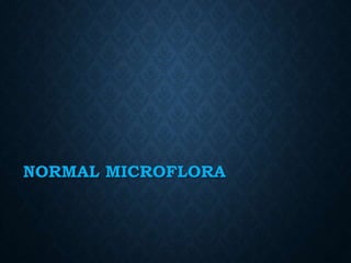 Normal microflora ppt | PPTX