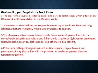 Normal microflora ppt | PPTX