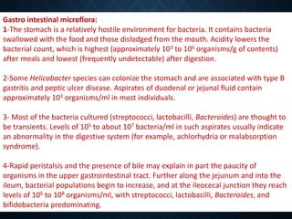 Normal microflora ppt | PPTX