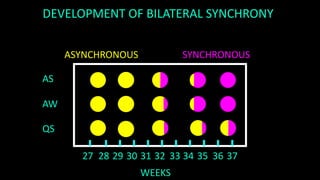 Normal Neonatal EEG | PPTX
