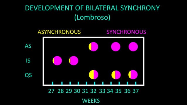 Normal Neonatal EEG | PPTX | Pregnancy | Reproductive Health