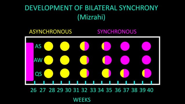 Normal Neonatal EEG | PPTX | Pregnancy | Reproductive Health