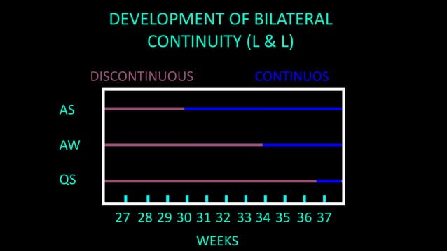 Normal Neonatal EEG | PPTX | Pregnancy | Reproductive Health