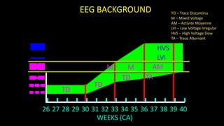 Normal Neonatal EEG | PPTX