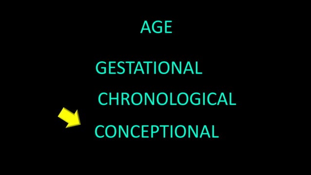 Normal Neonatal EEG | PPTX | Pregnancy | Reproductive Health