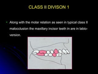 Normal occlusion | PPT