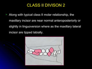 Normal occlusion | PPT