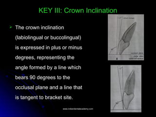 Normal occlusion | PPT