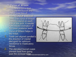 Normal occlusion / dental crown & bridge courses | PPT