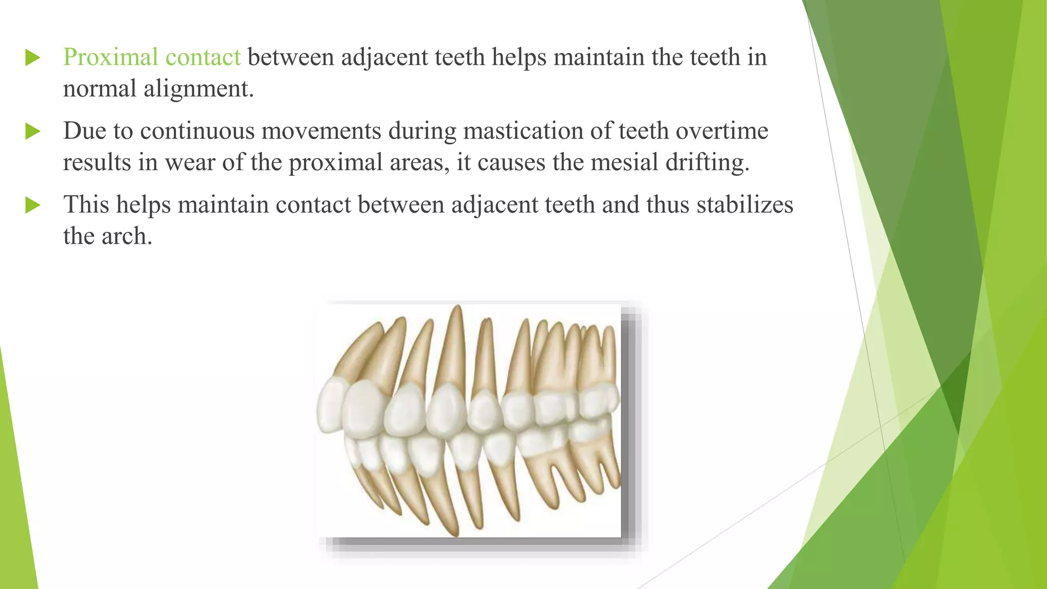 Normal occlusion.pptx