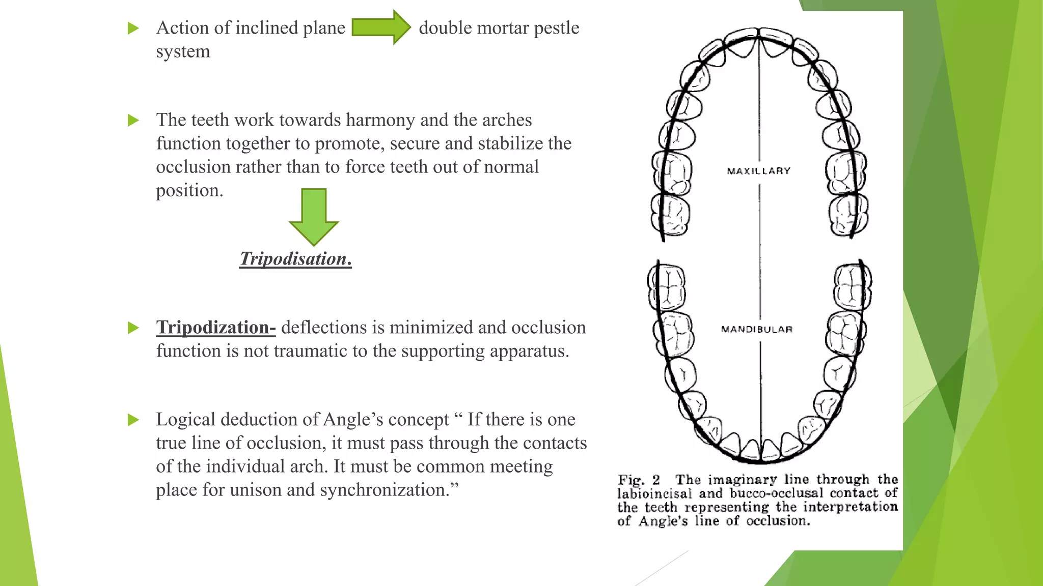 Normal occlusion.pptx