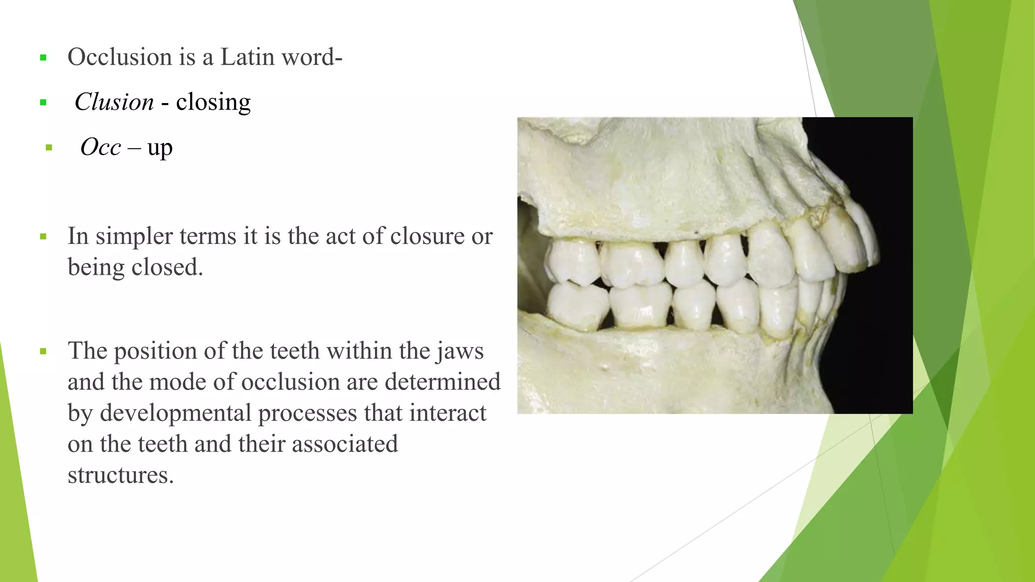 Normal occlusion.pptx
