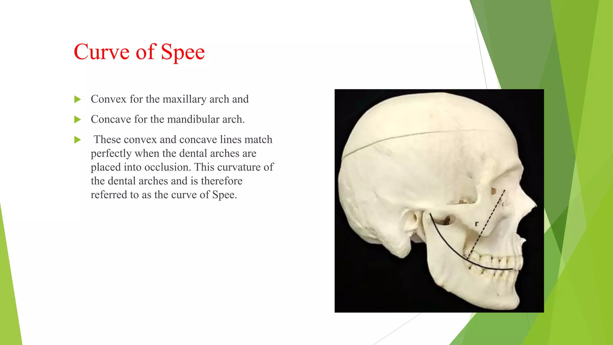 Normal occlusion.pptx