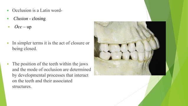 Normal occlusion.pptx