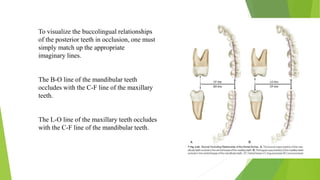 Normal occlusion.pptx
