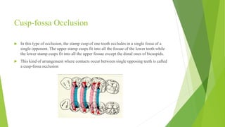 Normal occlusion.pptx