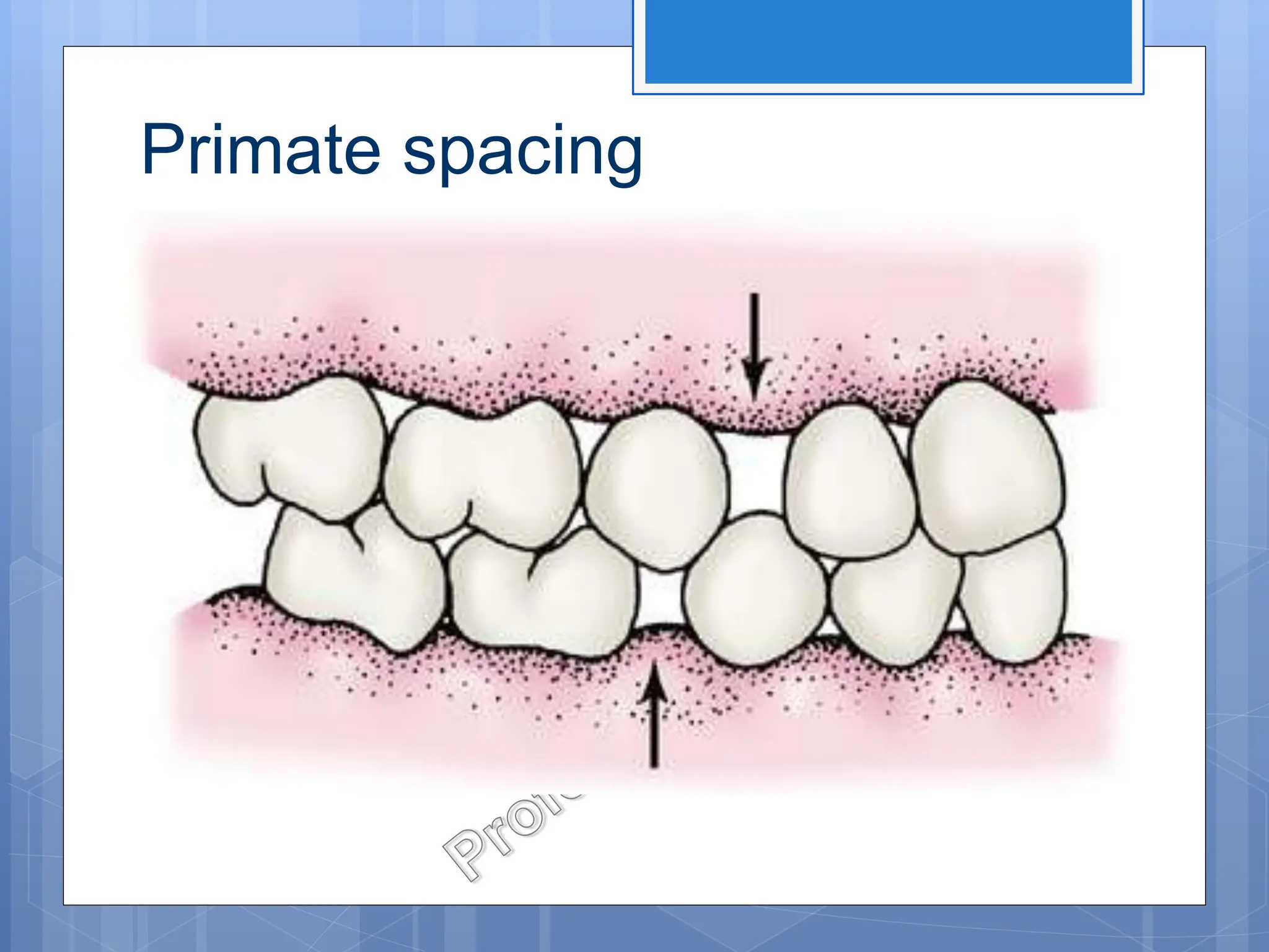 Development of normal dental occlusion in children.pptx | Free Download