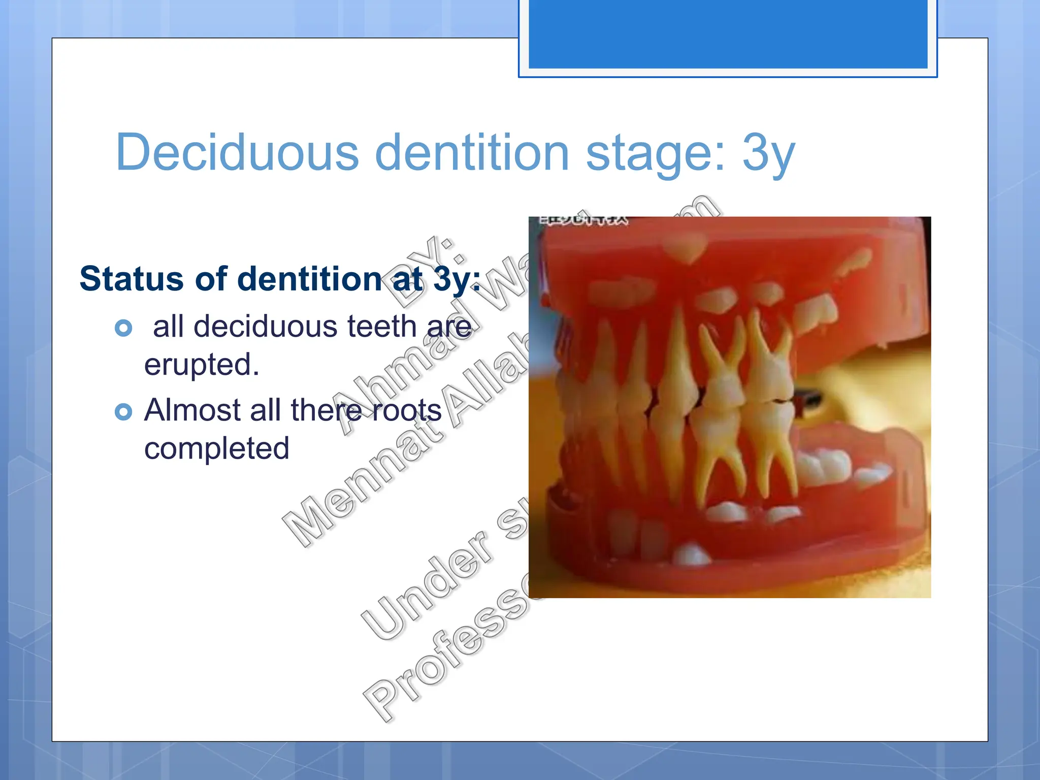 Development of normal dental occlusion in children.pptx | Free Download