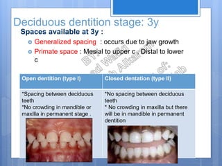 Development of normal dental occlusion in children.pptx | Free Download