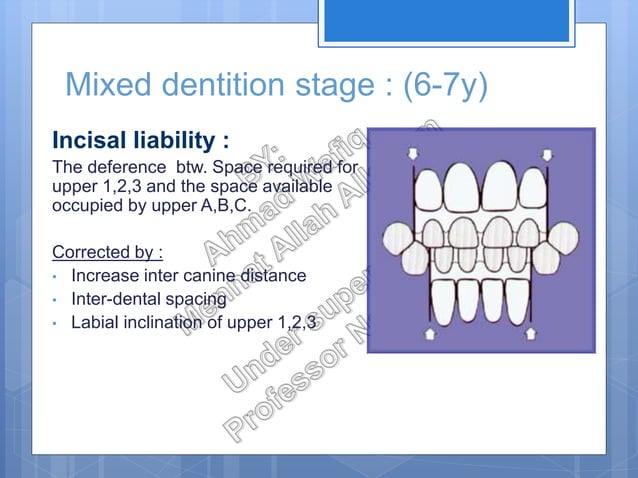 Development of normal dental occlusion in children.pptx | Free Download