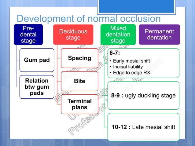 Development of normal dental occlusion in children.pptx