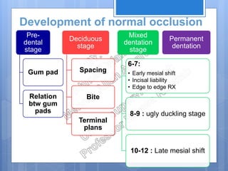 Development of normal dental occlusion in children.pptx | Free Download