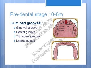 Development of normal dental occlusion in children.pptx