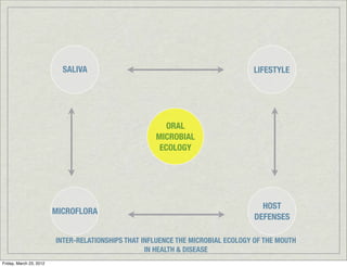 The Human Oral Microflora | PPT