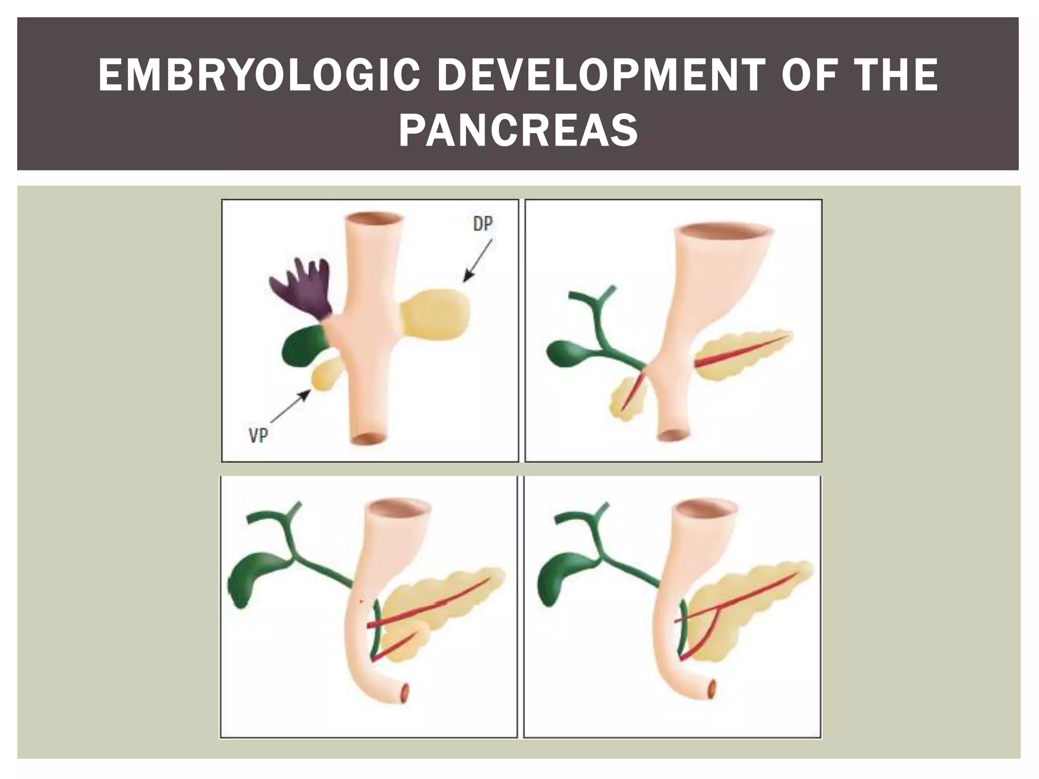 Normal pancreatic anatomy and anatomical variations | PPT