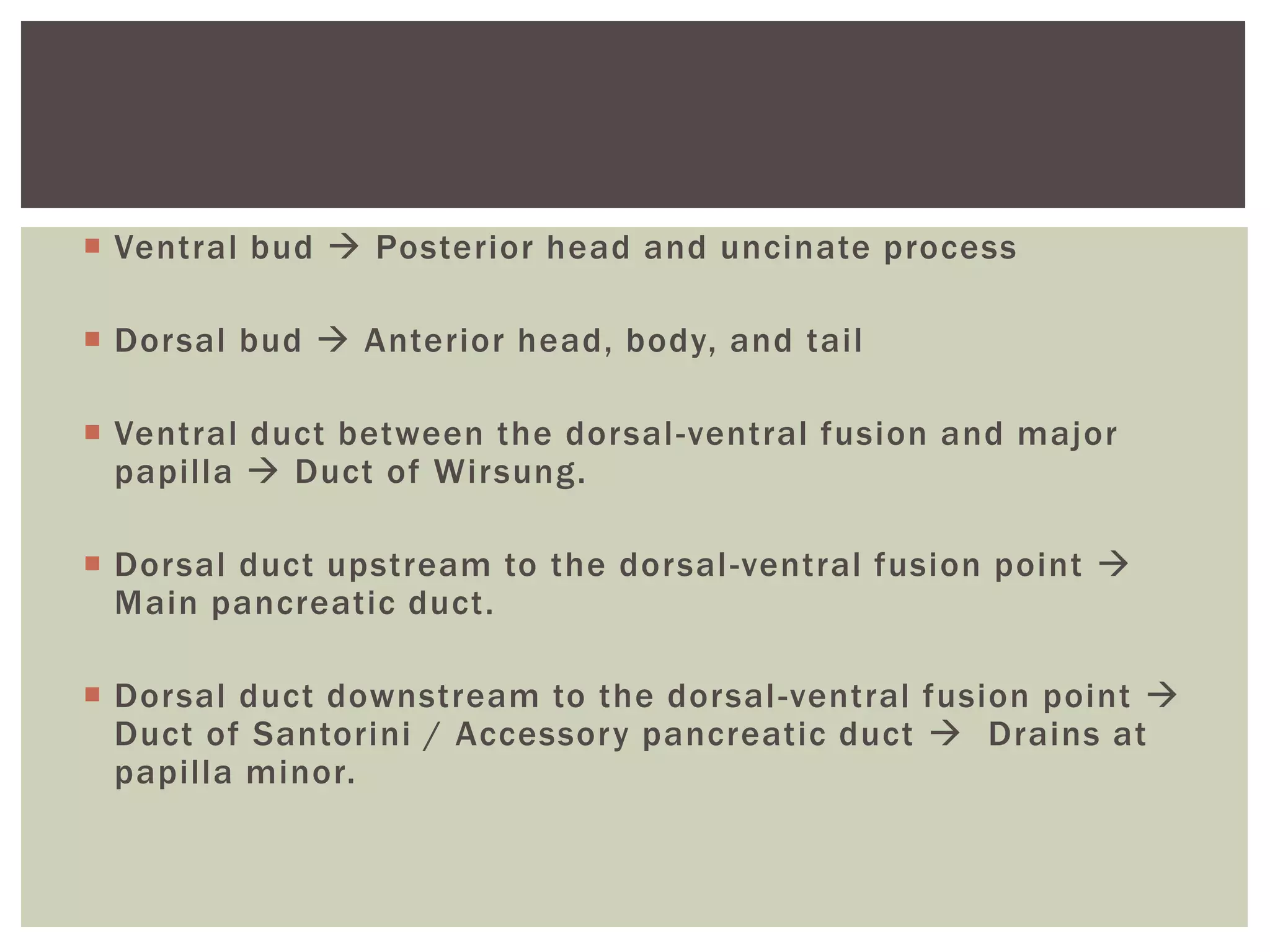 Normal pancreatic anatomy and anatomical variations | PPT