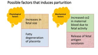 Normal parturition process in large animals (bovine | PPTX
