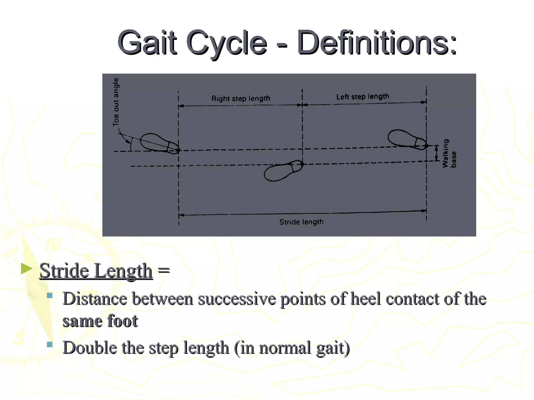 Normal and pathological gait | PPT