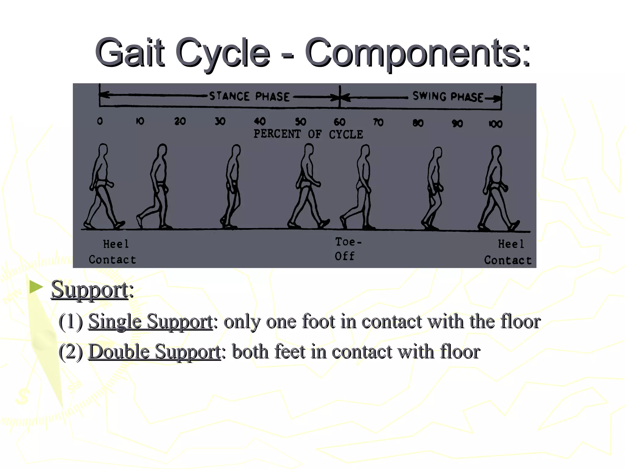 Normal and pathological gait | PPT