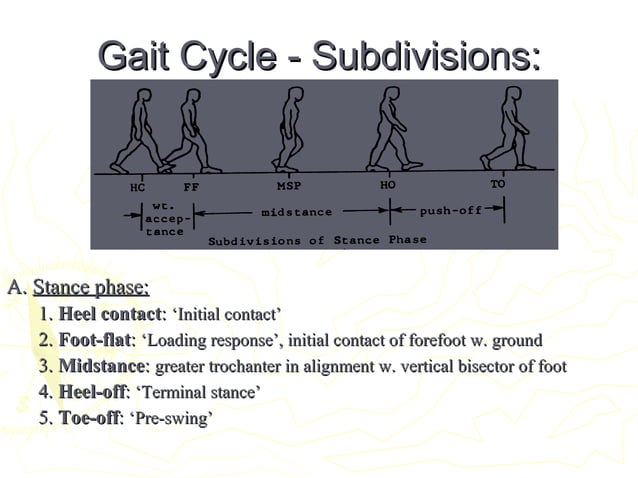 Normal and pathological gait | PPT | Foot Health | Diseases and Conditions