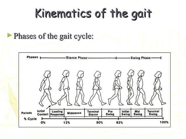 Normal and pathological gait | PPT