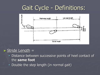 Normal_Pathological_Gait.ppt